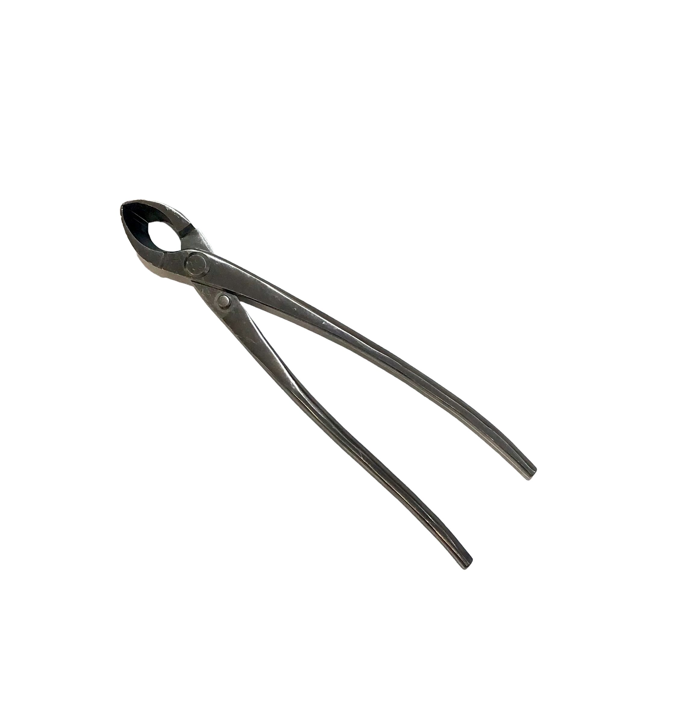 CONCAVE CUTTER FLUSH - 8" Stainless Pacific Bonsai Tool | Portland ...